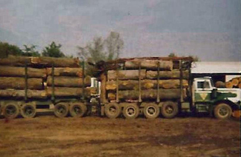 Logging Contractors in Michigan, Timber Harvesting, Logging Quotes MI ...
