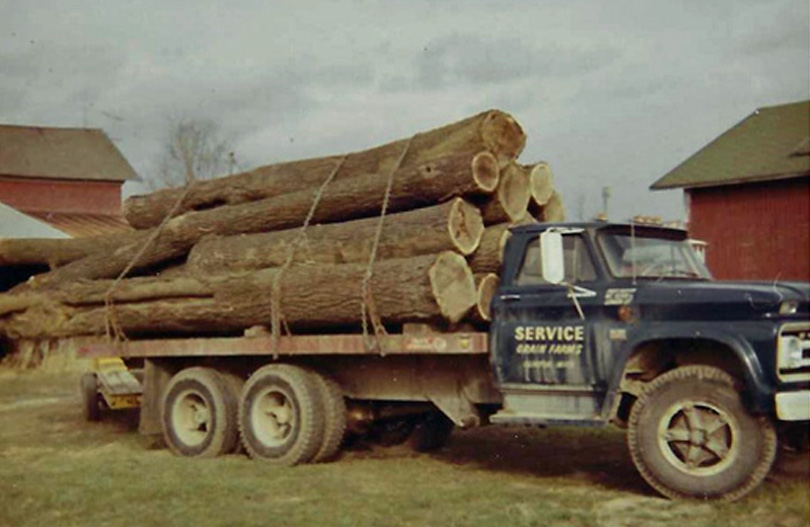 Logging Contractors in Michigan, Timber Harvesting, Logging Quotes MI ...