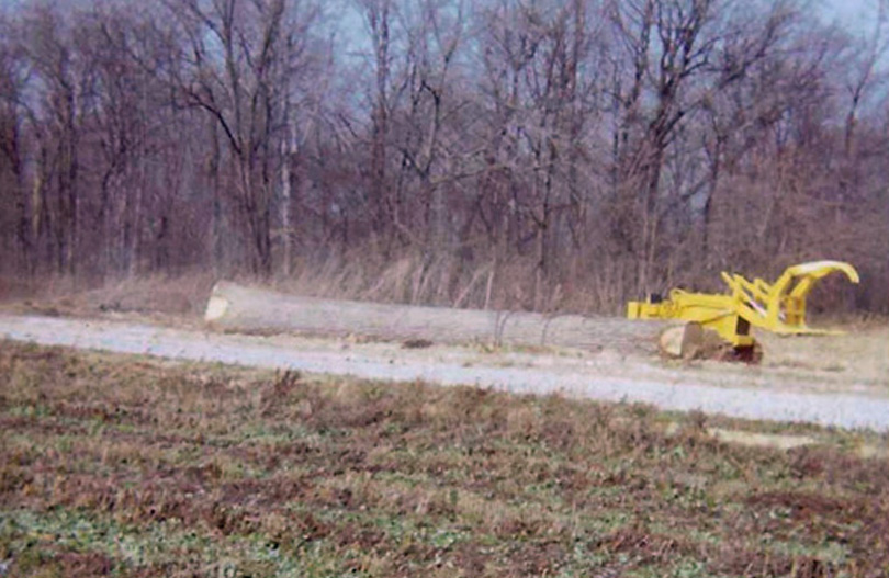 Trees We Harvest in Michigan, Hardwood Timber Harvesting, Tree ...